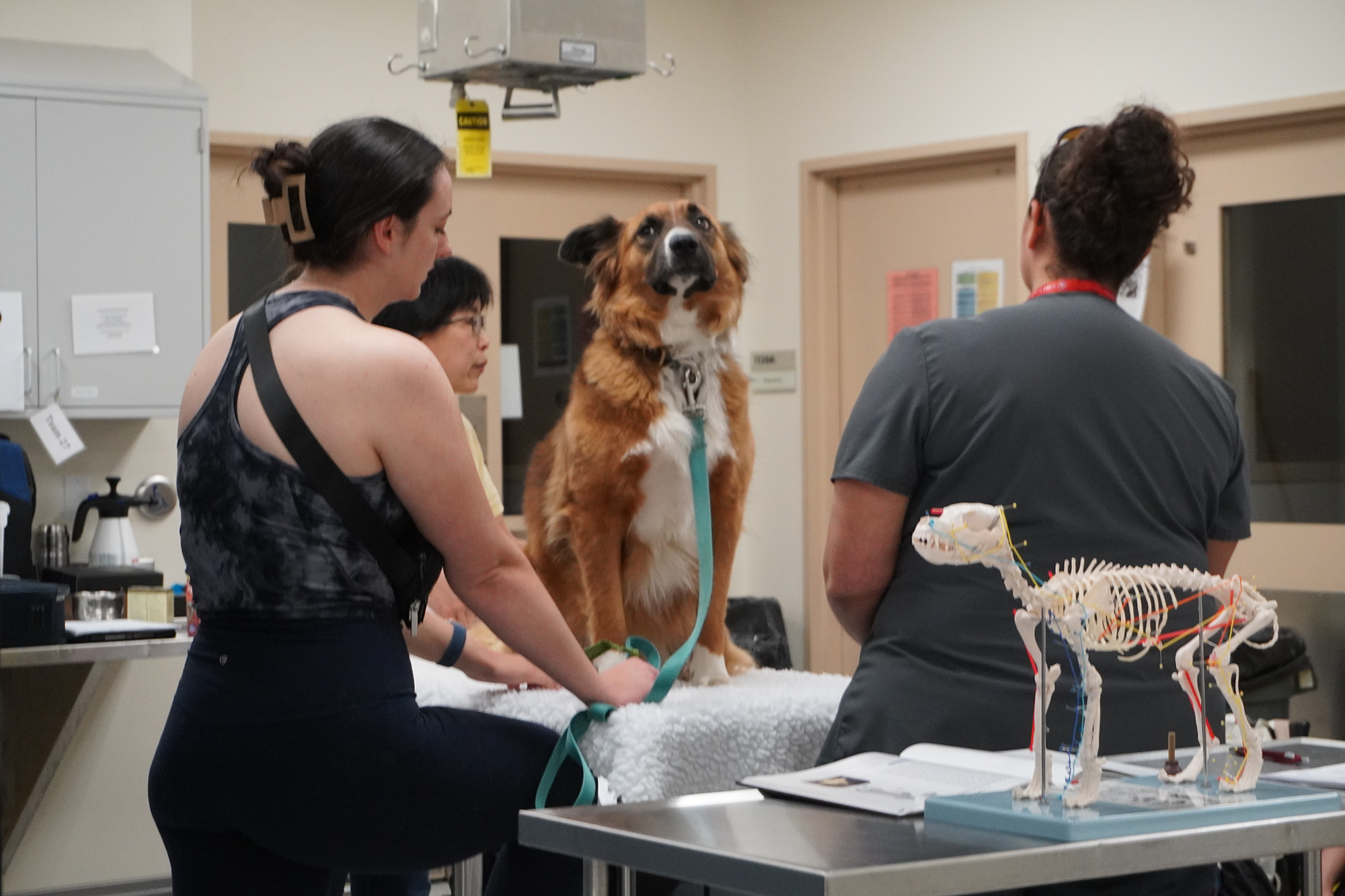 2026 SA CVA Course | Center for Continuing Professional Education (CCPE)